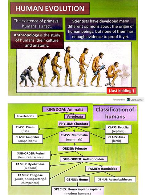 Slideshow Topic 11 Life Science Grade 12 Pdf