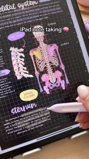 IPad Note Taking Madetoplan Video Ipad Tutorials Study Apps Ipad Essentials