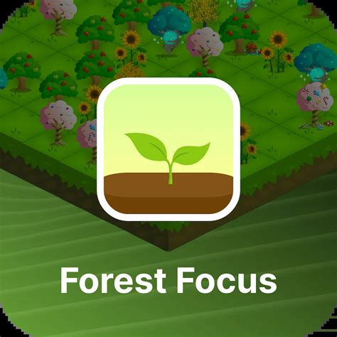 خرید اکانت Forest Focus فورست‌فوکس پرمیوم 🌳 قیمت ارزان