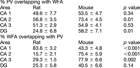 Colocalization Between Parvalbumin And Wfa Positive Pnns In