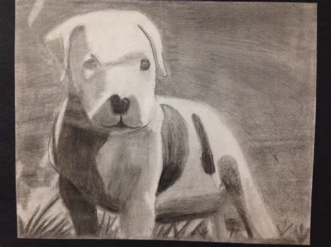 Art Alley Drawing Rendering 7th Graders Learn To See