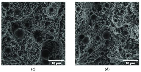 Fracture Surfaces At Different Magnifications Of T5 C A B And T5 C D Download Scientific