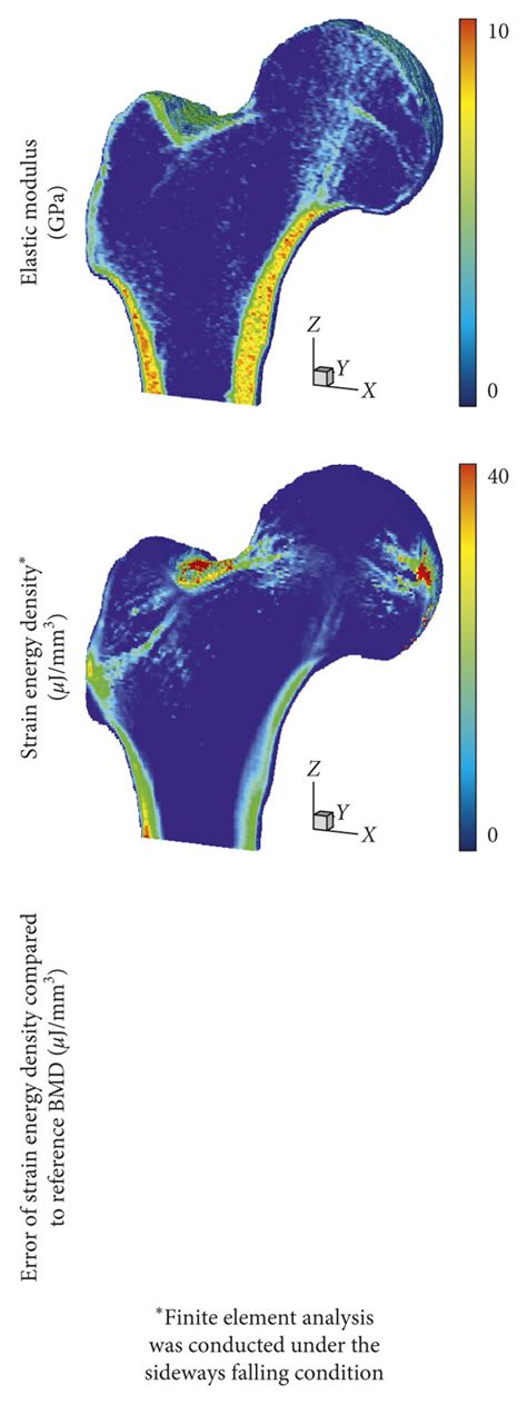 Distribution Of Elastic Modulus Strain Energy Density And Error Of