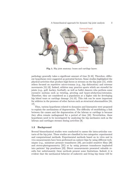 A Biomechanical Approach For Dynamic Hip Joint Analysis 20pp 2011 PDF