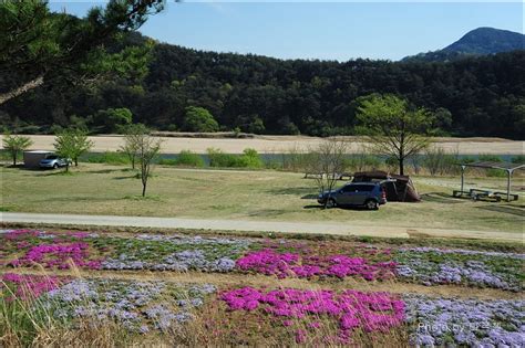 문경 야구장 노지 캠핑 낙동강 강변 뷰가 멋진 캠핑장 네이버 블로그