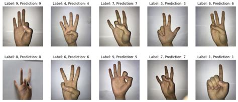 github masalha alaa sign language digits keras hand digits