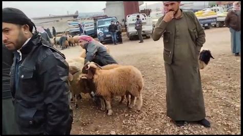 سوق بشمارون يوم السبت 25112023 Youtube
