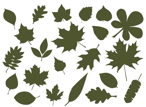 Set Of Leaf Silhouettes Leaves Of Deciduous Forest Trees 9392907