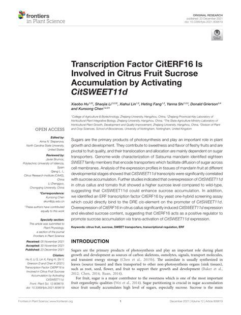 Pdf Transcription Factor Citerf16 Is Involved In Citrus Fruit Sucrose Accumulation By