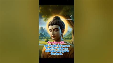 December 3 2024 नमो बुद्धा नमो बुद्धाय गौतम बुद्धा का विचार जानो और