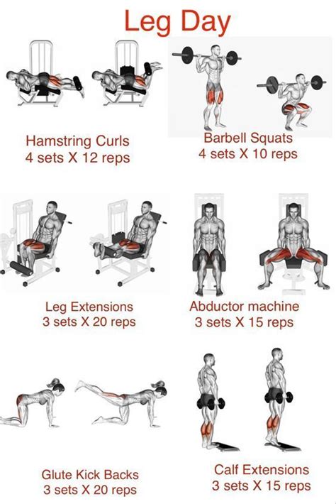Gym Workout Guide Workout Program Gym Gym Workout Planner Best Gym