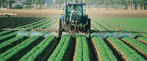 Difference Between Intensive And Extensive Farming With Comparison