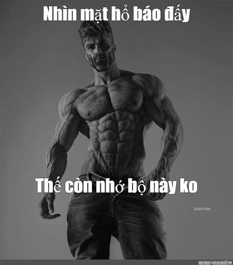 Meme Nhìn Mặt Hổ Báo đấy Thế Còn Nhớ Bộ Này Ko All Templates