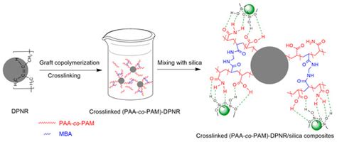 Preparation Of Crosslinked Polyacrylic Acid Co Acrylamide Grafted