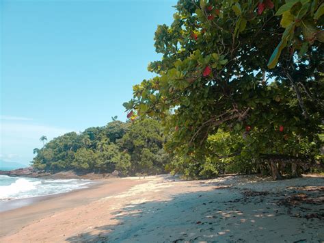 Conheça a trilha das 7 praias desertas em Ubatuba Olhos de Turista