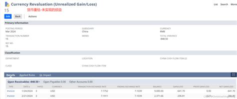 聊聊oracle Netsuite系统的外币重估netsuite Base Currency And Source Currency Csdn博客