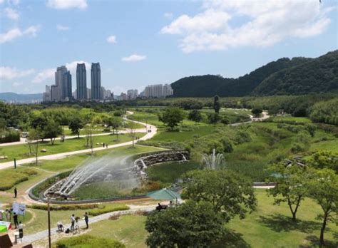 태화강 생태관광 길라잡이 찾습니다 울산 내년도 자연환경해설사 15명 모집