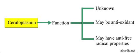 Acute Phase Protein Part Ceruloplasmin Labpedia Net