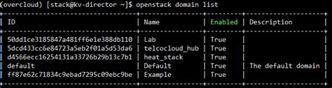 Organizing Openstack Domains And Projects