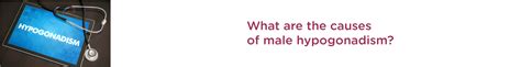 What Are The Causes Of Male Hypogonadism Nova Ivf