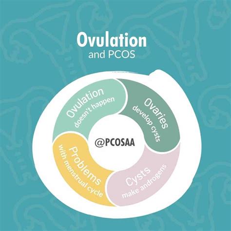 Pcos Awareness Association On Linkedin Pcos Ovaries Pcosawareness