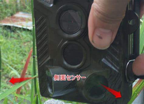 赤外線で夜間でも撮影できる防犯カメラ Wimius Trail Camera H1レビュー アクションカメラ