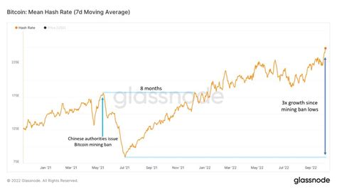 Bitcoins Hash Rate Grows 3x Since China Ban Despite Crypto Winter