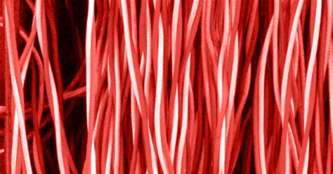The Top 10 Most Sustainable Data Centre Companies Avery Fairbank
