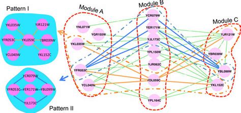 A Subnetwork With Sparsely Connected Modules Detected By Sgpg Module A