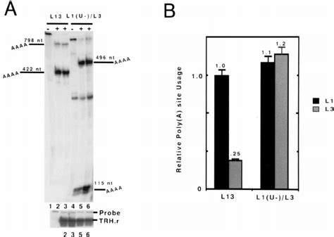 The Rescued Cat Gene Expression Is Associated With Increased Levels Of Download Scientific