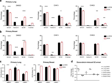 Cell Type Specific Role Of CHK2 In Mediating DNA Damage Induced G2 Cell