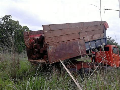 Caminhão carregado de madeira ilegal é apreendido na TO 428 Tocantins