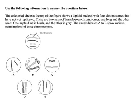 Bio Exam 3 Flashcards Quizlet