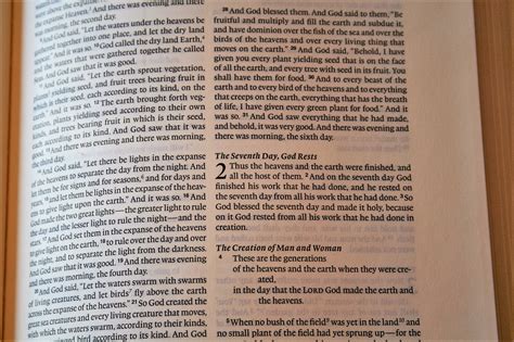 Esv Journaling Bible Interleaved Edition 4 Bible Buying Guide
