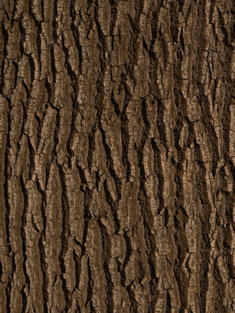 Premium Photo Old Tree Texture