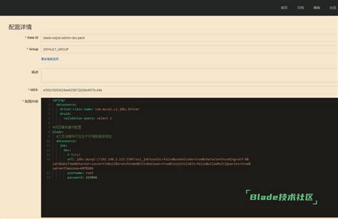 bladex 中集成blade xxjob admin 工程后启动报数据库连接问题是什么原因 Blade技术社区