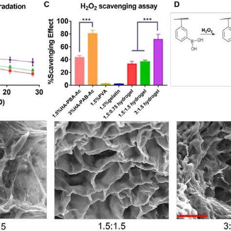 Physicochemical Characterization Of The Gelatin Crosslinked Dynamic Ha