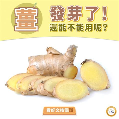 婆媽必備辛香料別吃錯發芽發黑的薑能吃嗎 專家解密保存方法 中天新聞網