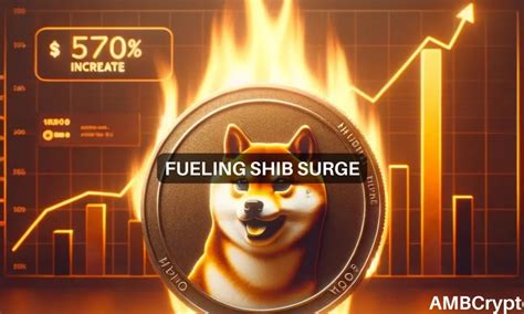 Shiba Inu Burn Rate Explodes 570 Will Prices Follow Suit Ambcrypto