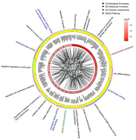 Enrichment Analysis Of Target Genes Of Tae Mir2018 The Top 20