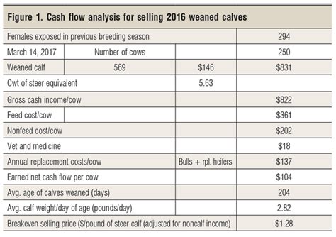Cattle Budget Spreadsheet Inside Example Of Cattle Budget Spreadsheet
