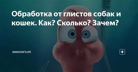 Обработка от глистов собак и кошек. Как? Сколько? Зачем? | AmigoVetLife ...
