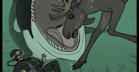 Daily Reminder Orcas Eat Moose Album On Imgur