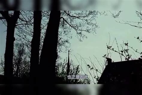 世界上最自由的国家其它国家不允许做的事在这里几乎随便做 的国家 其它 自由