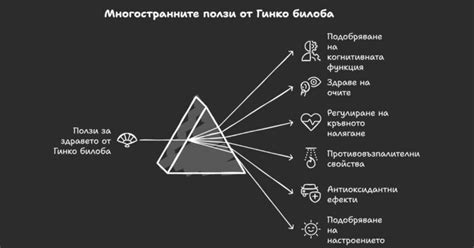 Гинко билоба Билка Същност ползи действие ефект и прием БилкопедиЯ