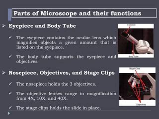 Microscope Pptx
