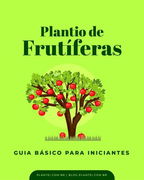 Plantio de frutíferas guia para iniciantes Blog da Plantei Mudas