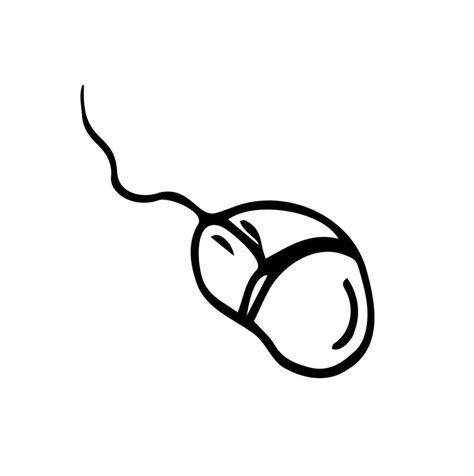Computer Mouse Coordinate Device For Cursor Control Wired Vector