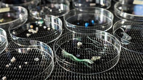 Examining The Presence Of Plastic Pollution Within The North Atlantic