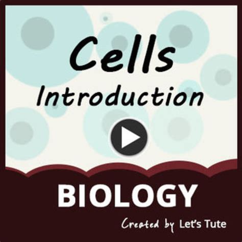Cell Biology Introduction To Cell Cells Structure Biology By Letstute